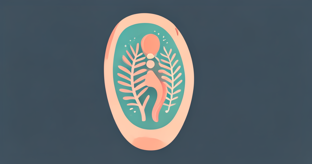 Menstrual Disc Beginner Guide: Everything You Need to Know